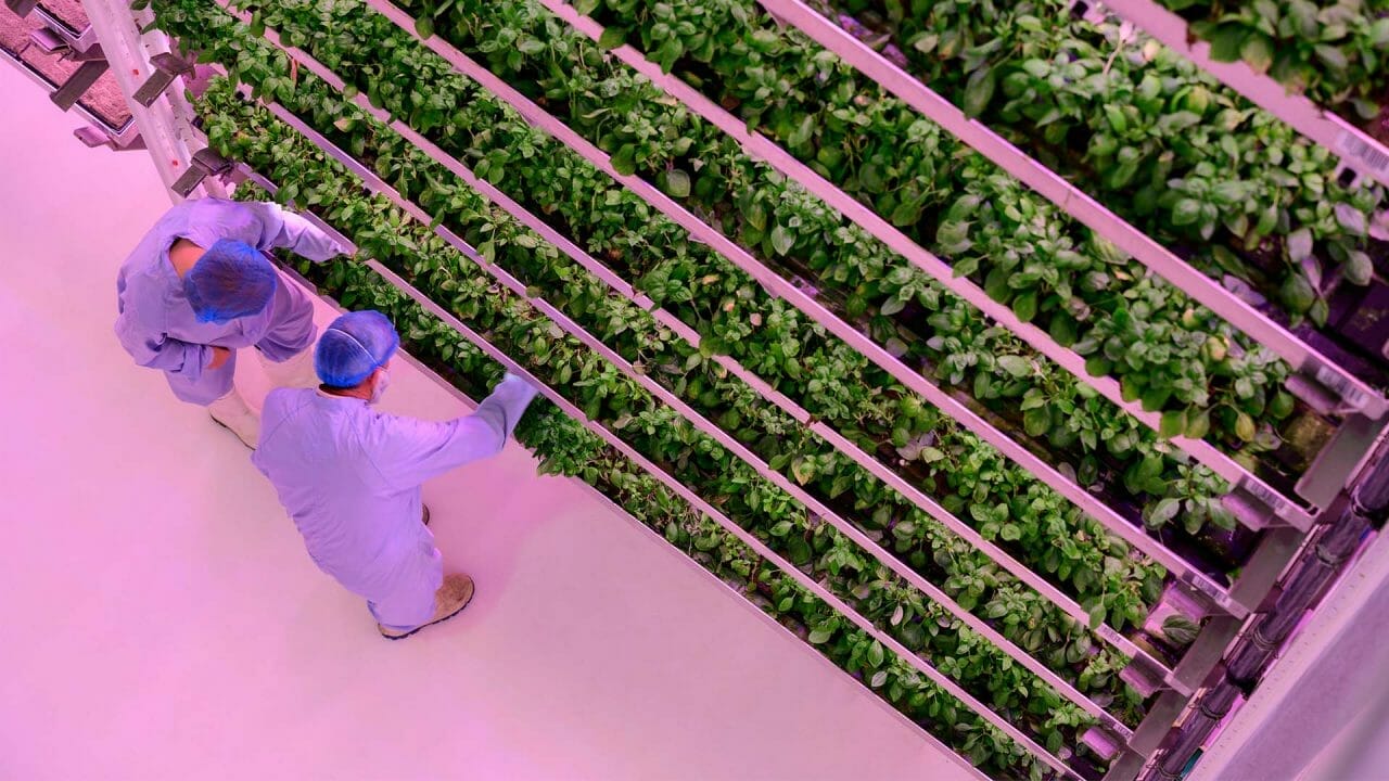 Design and testing simulation for building engineering - Maya HTT